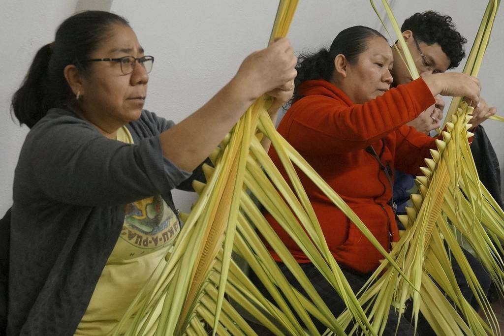 Palm weaving workshops join faith, culture for Palm Sunday | CityNews ...