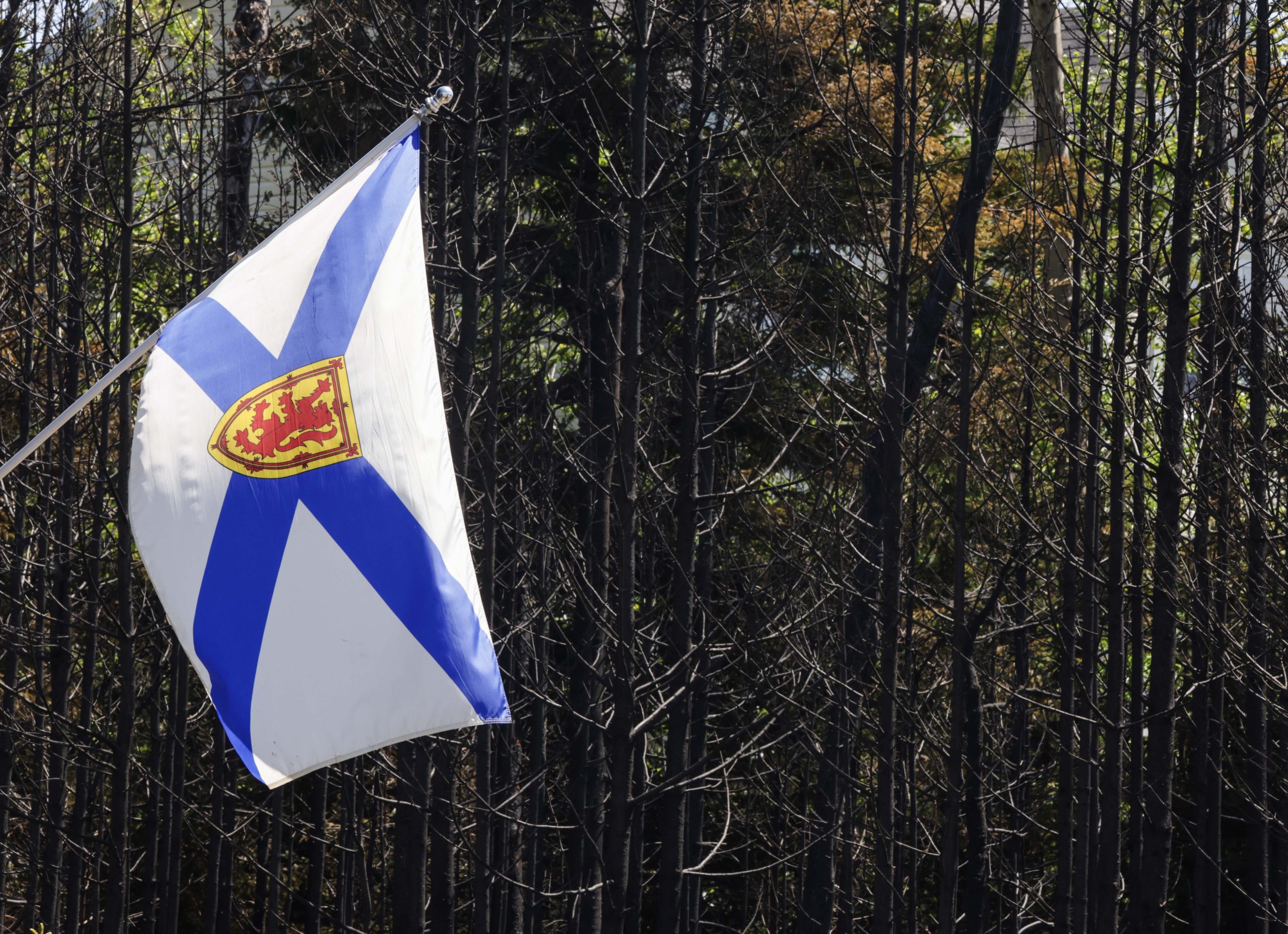 Drop-in support program for people impacted by wildfires opens Friday ...