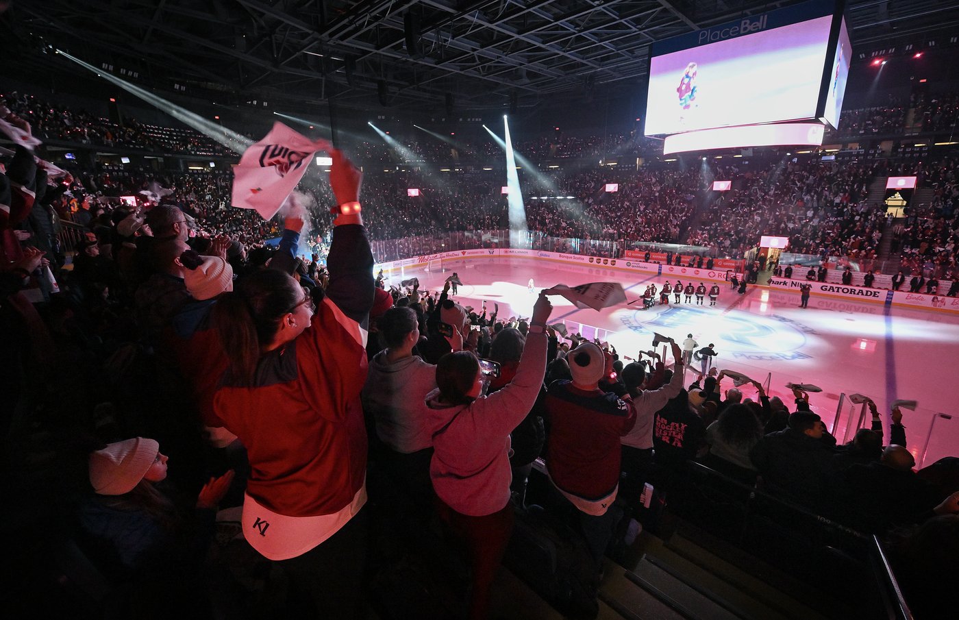 Ear damage: P.E.I. top doctor blows the whistle on air horns at hockey ...