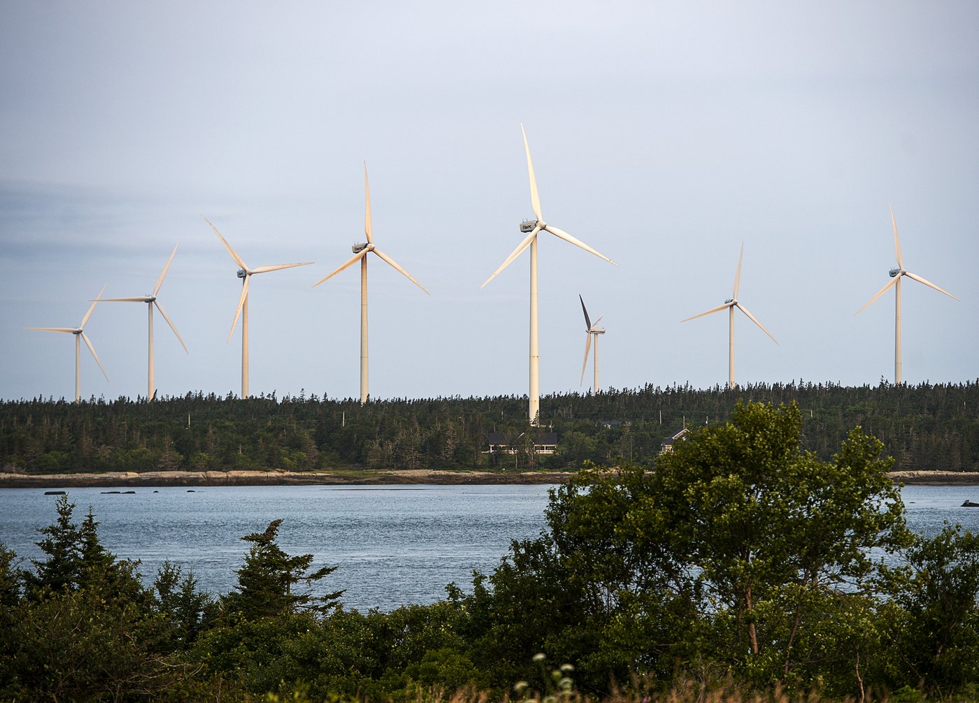 Nova Scotia paper mill to be powered by wind farm with financing from ...