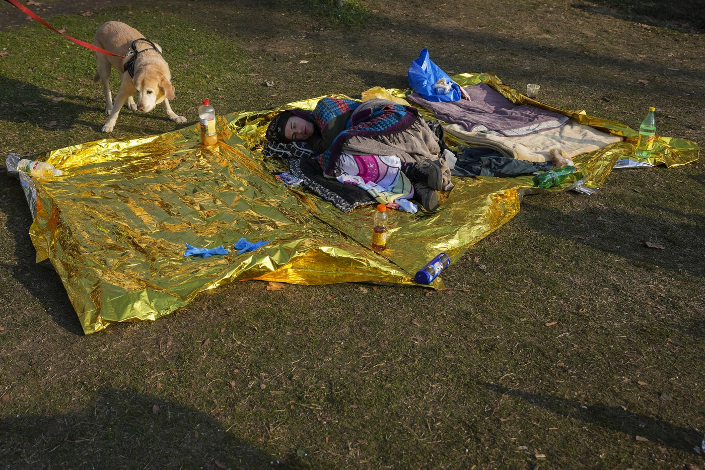 Serbia's striking students create 'festival atmosphere' to pass the ...