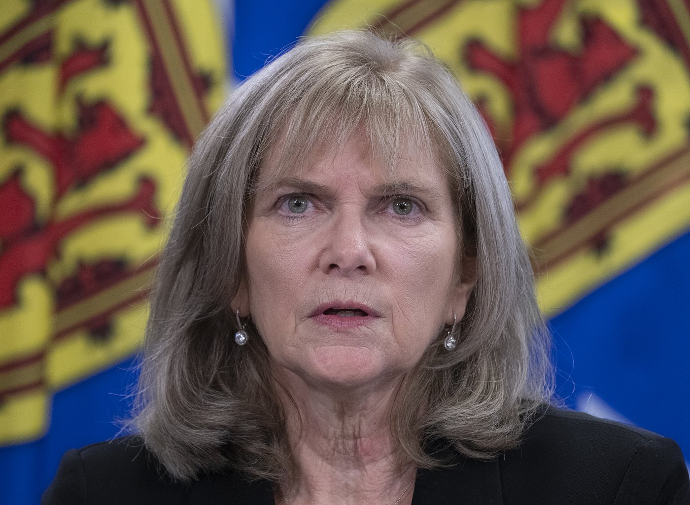 N.S. auditor general calls out billions of dollars in spending outside ...