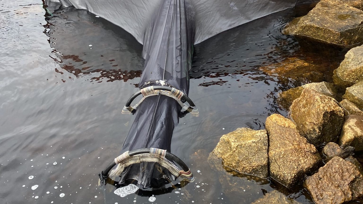 Elver nets stolen in Ingramport marking the beginning of season
