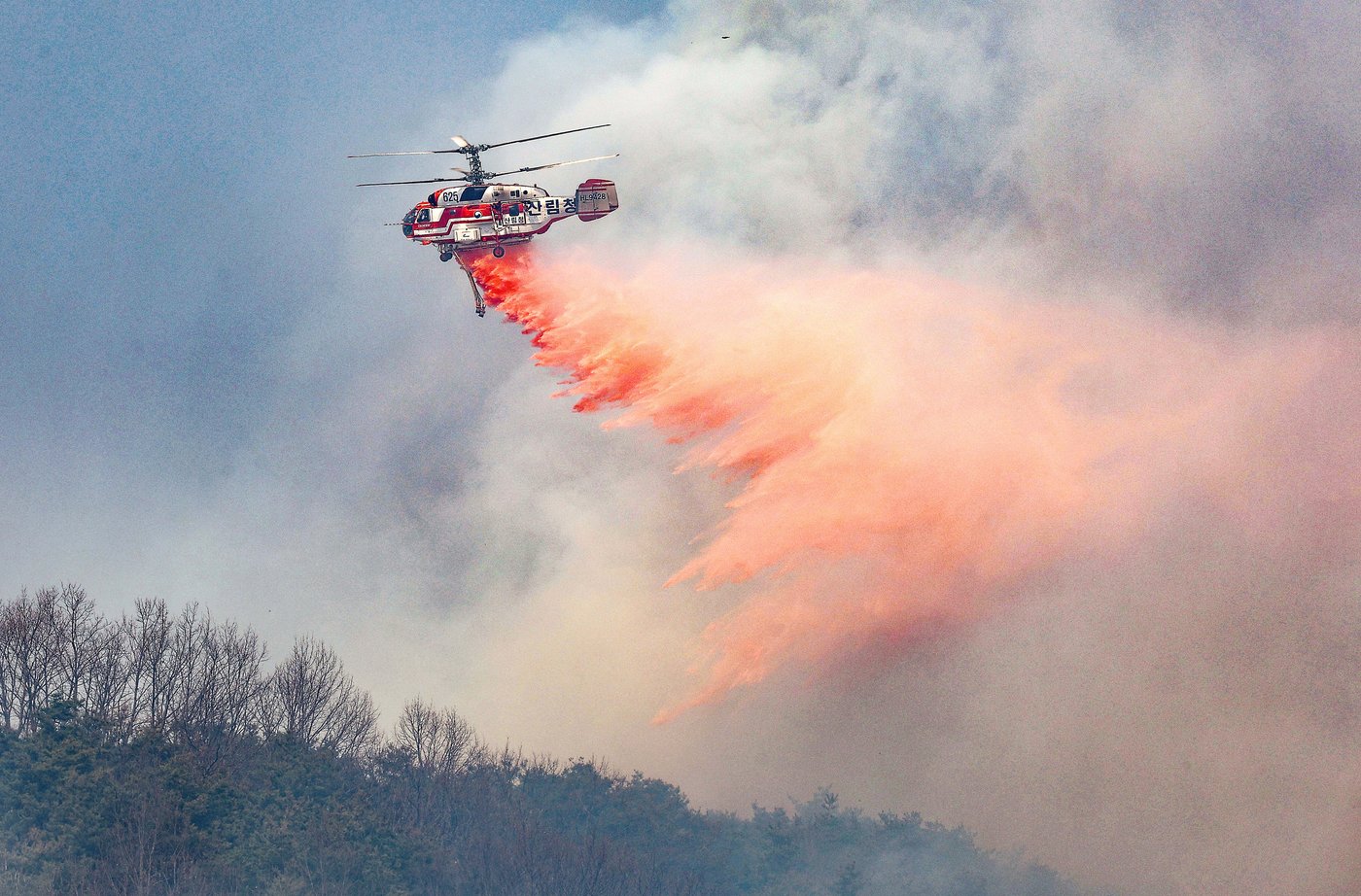 South Korean firefighters make progress in containing wildfires in ...