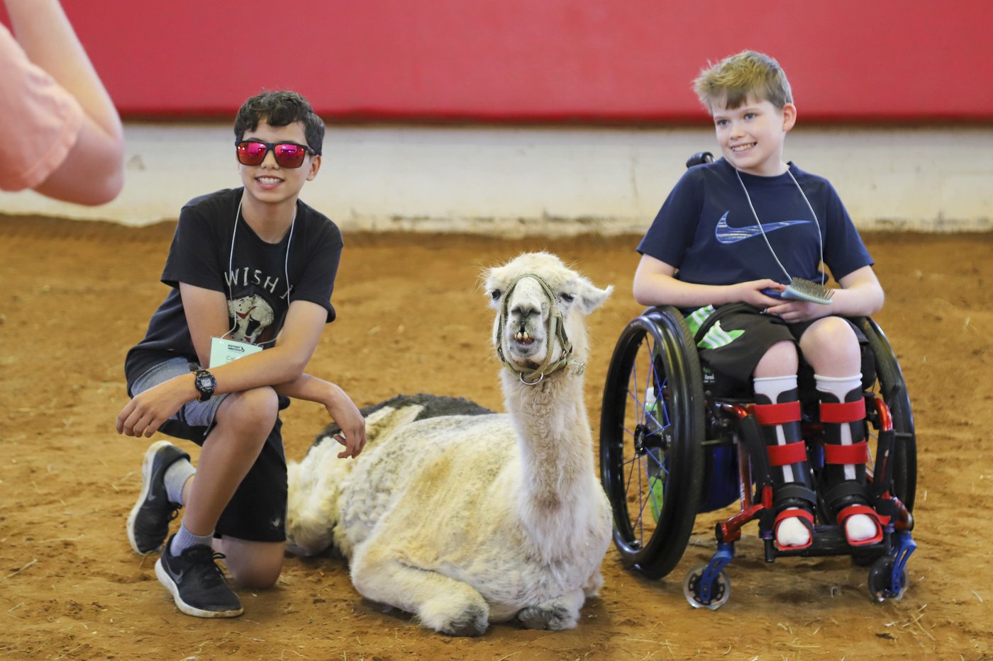 World's oldest llama enjoys comforting chronically ill children in ...