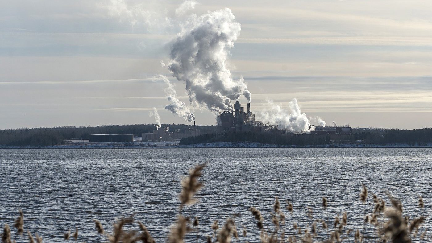 Northern Pulp to sell assets after studies completed