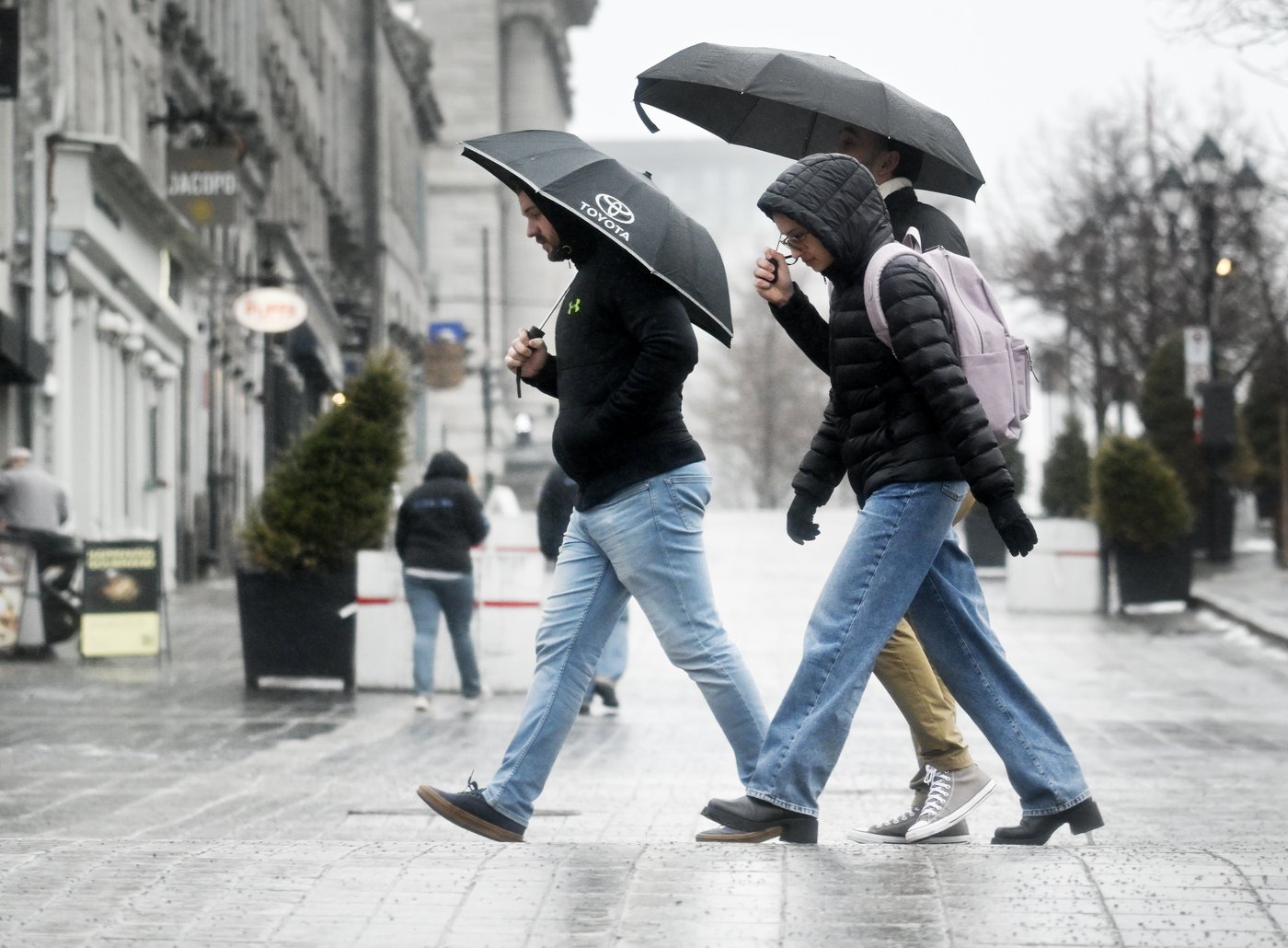 Freezing rain warning in effect Monday for New Brunswick and P.E.I.