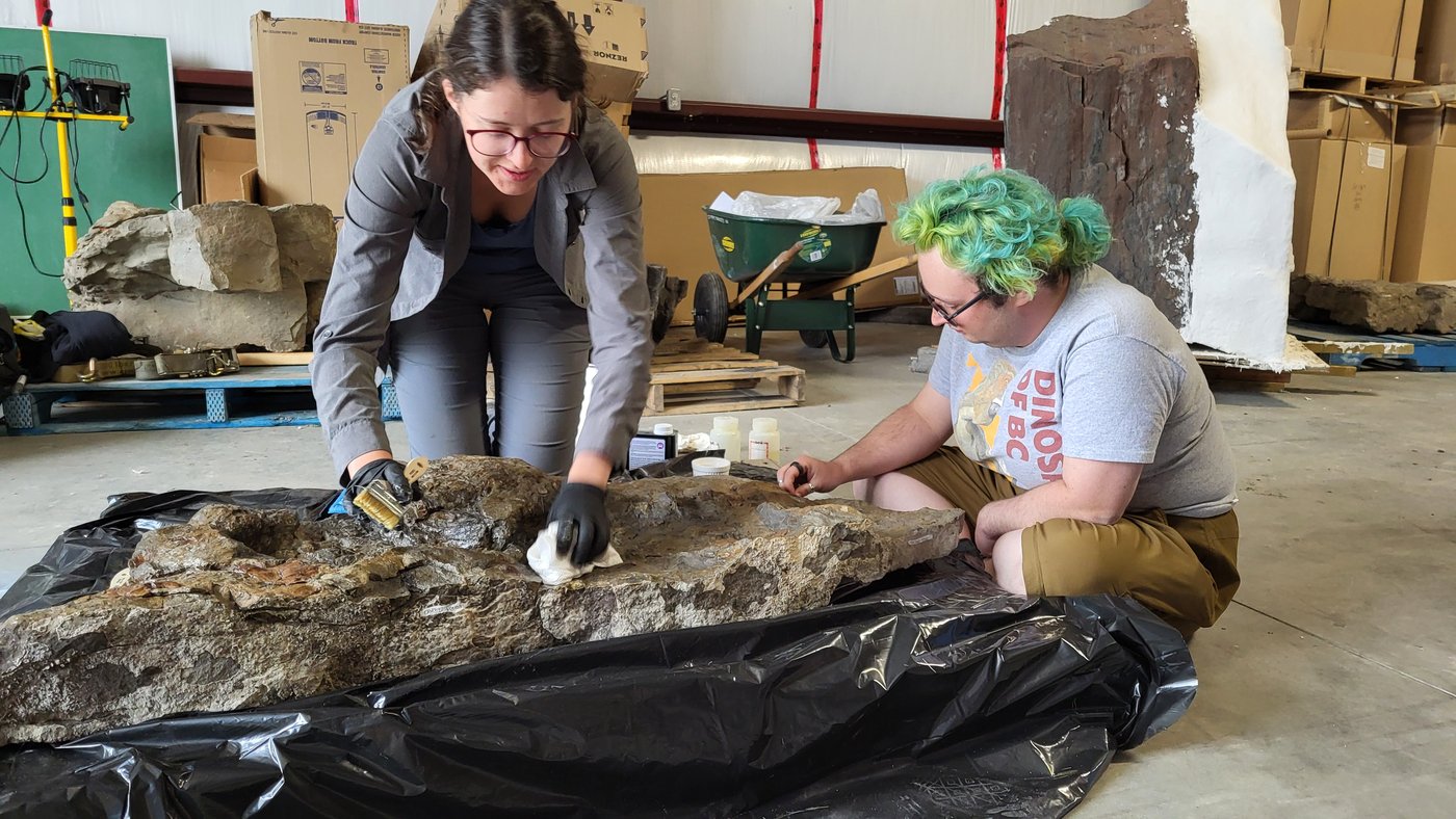 B.C. researchers confirm footprints of three-toed dinosaur with club ...