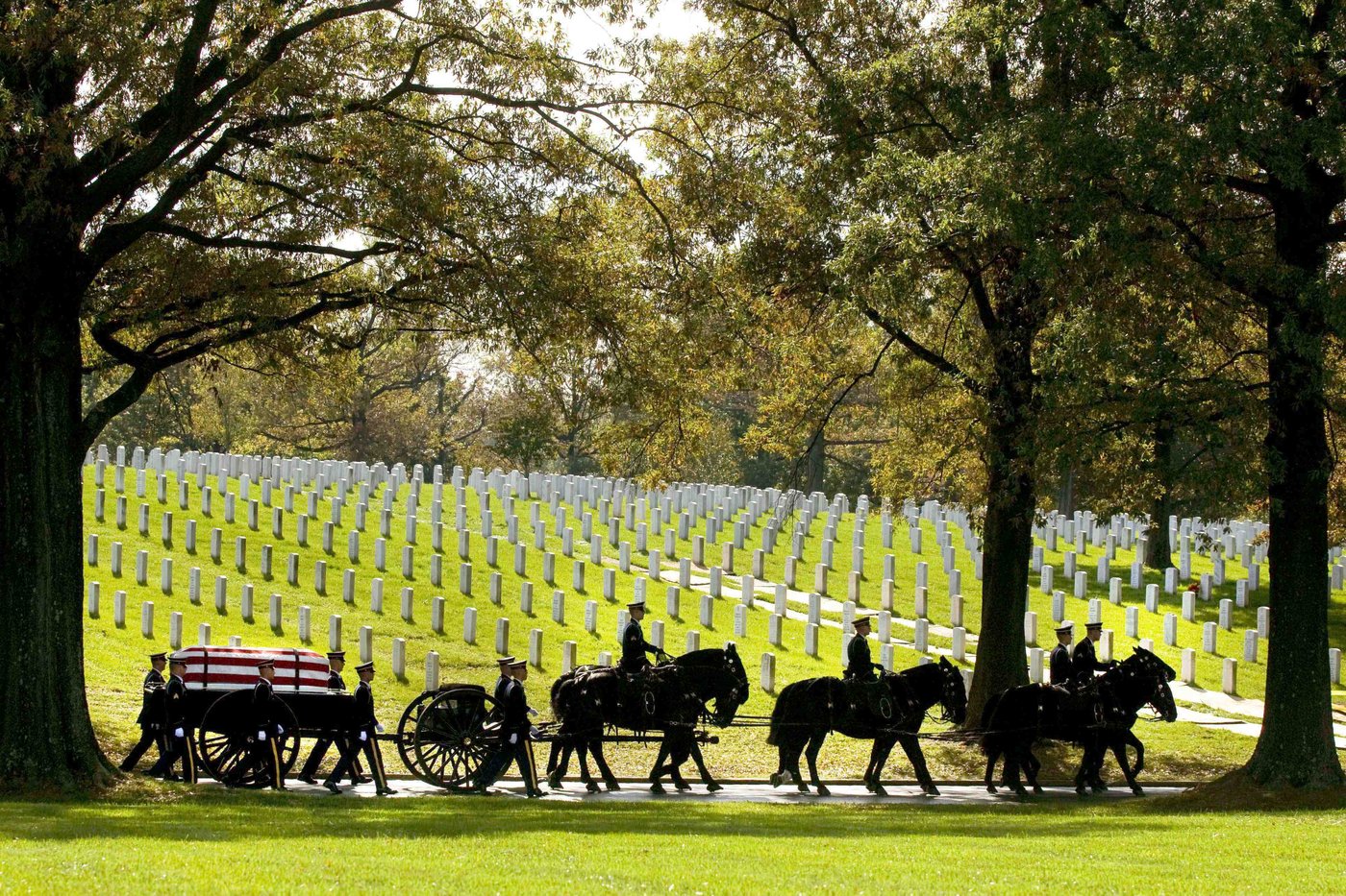 Army to begin limited use of horse-drawn caissons for Arlington ...