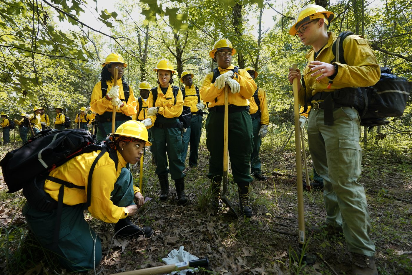 Forest and park service worker cuts leave wildland firefighting crews ...