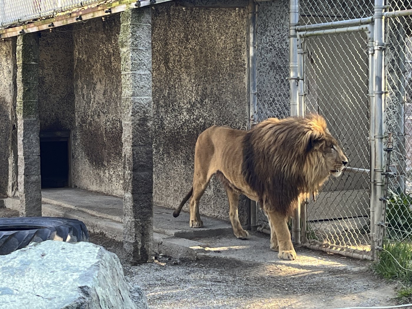 Oregon safari park owner is arrested on drug charges following police raid