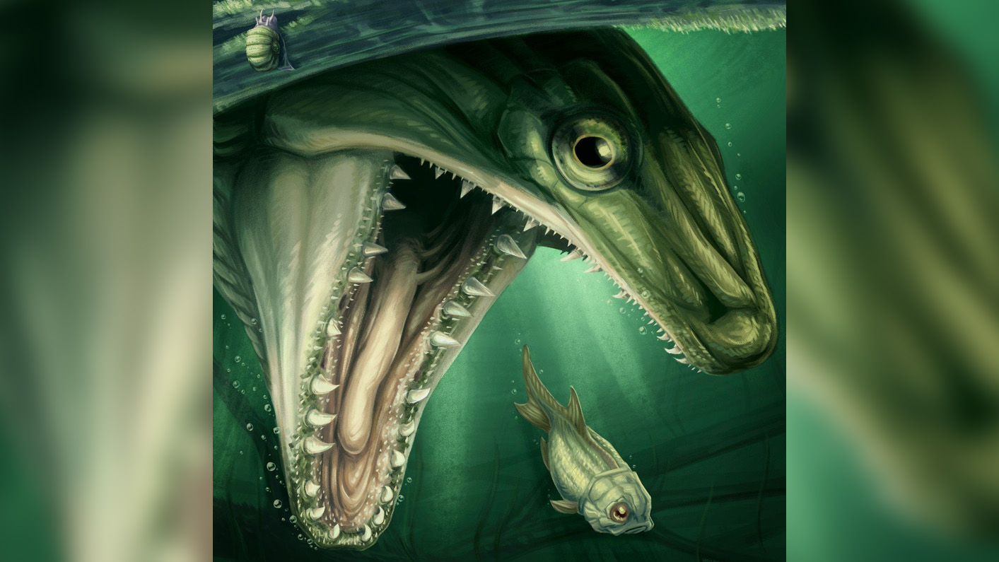 Fans, crew mourn death of canine star of Citytv detective series ...