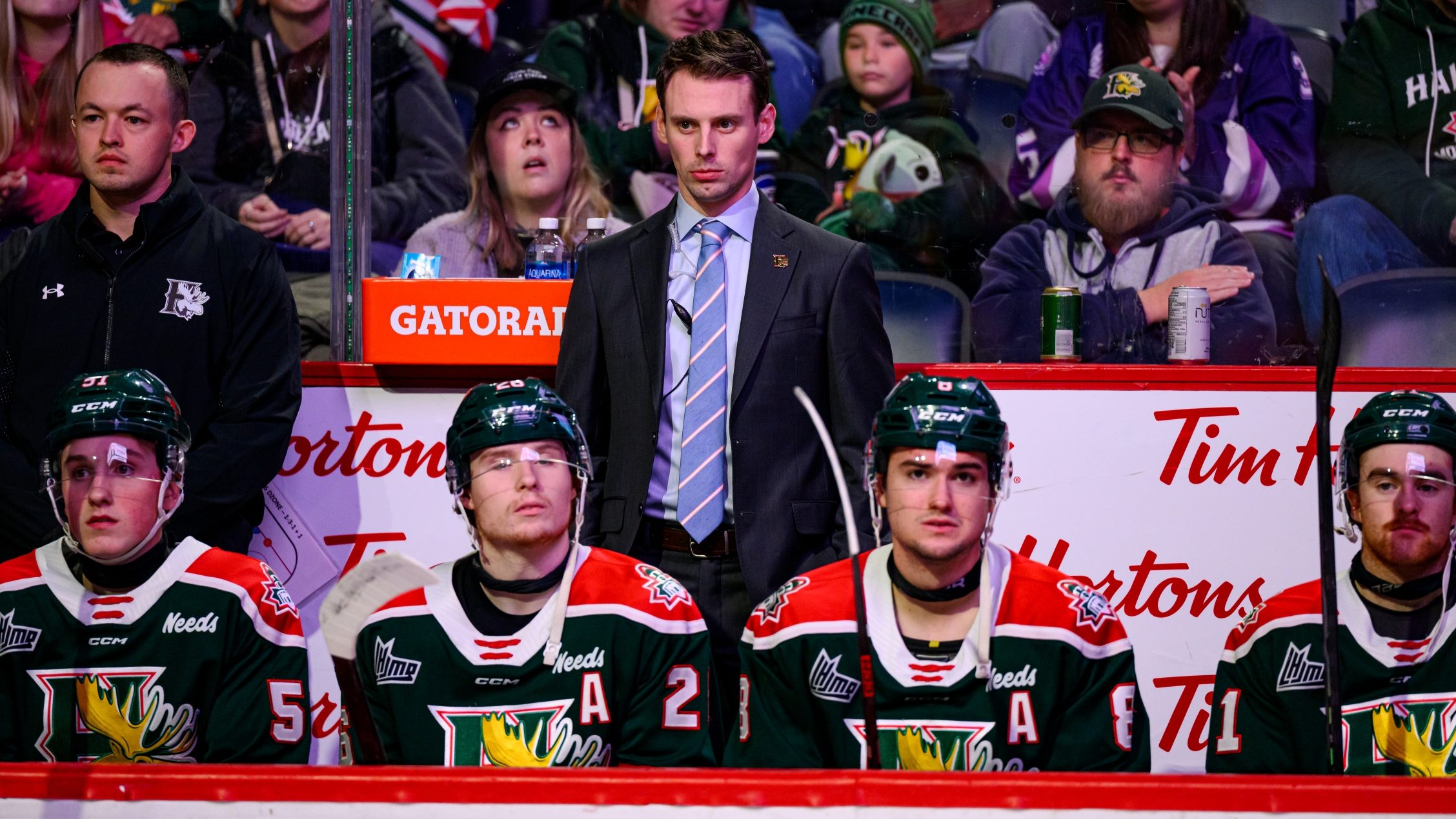 Mooseheads promote new head coach
