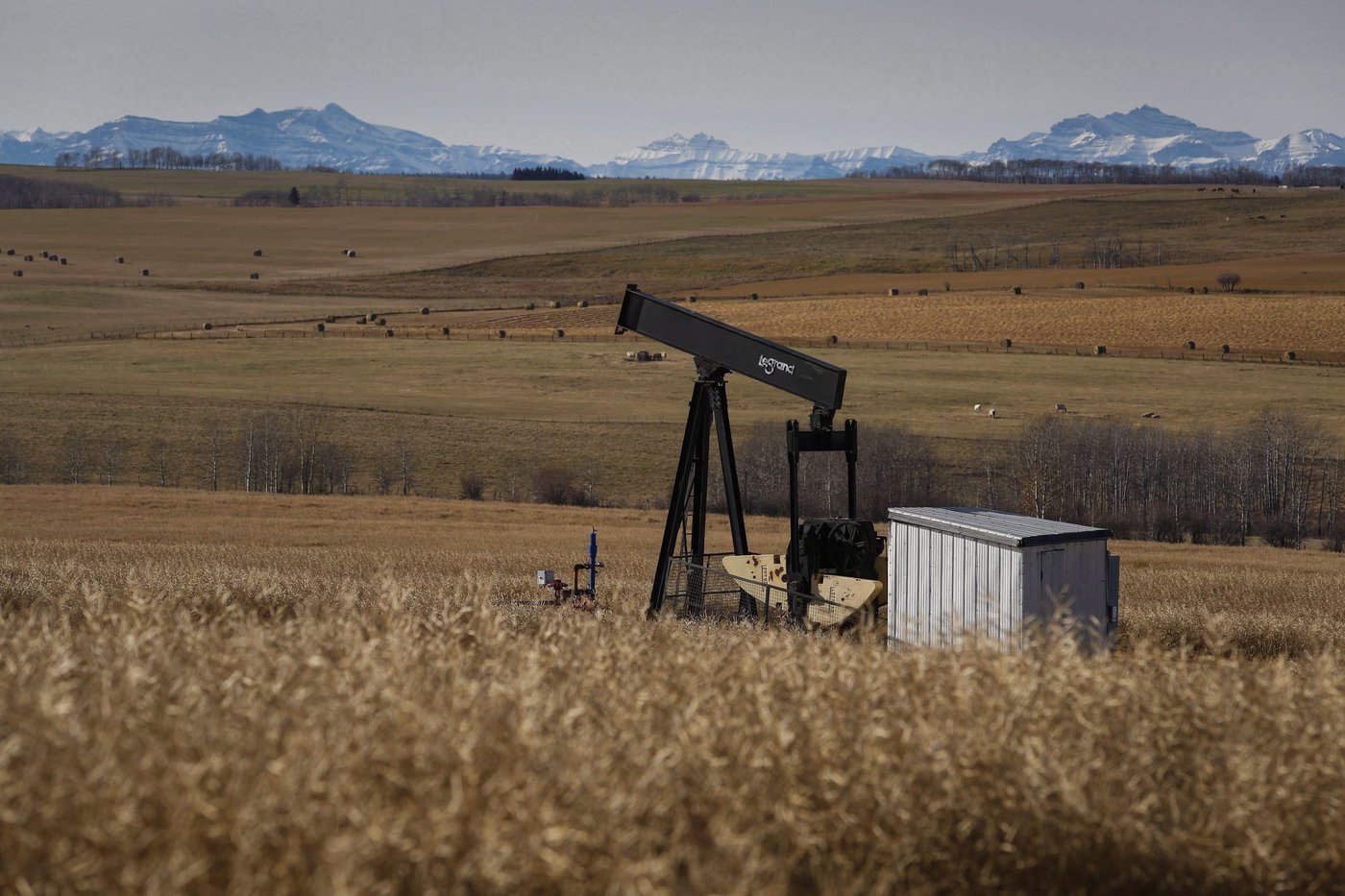 Environmental group seeks ethics investigation into Alberta Premier ...