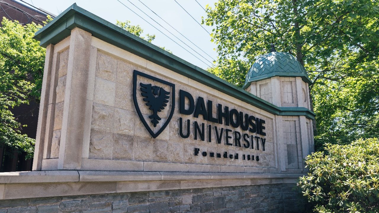 Tutu the humpback whale is freed from 150 metres of fishing gear off ...