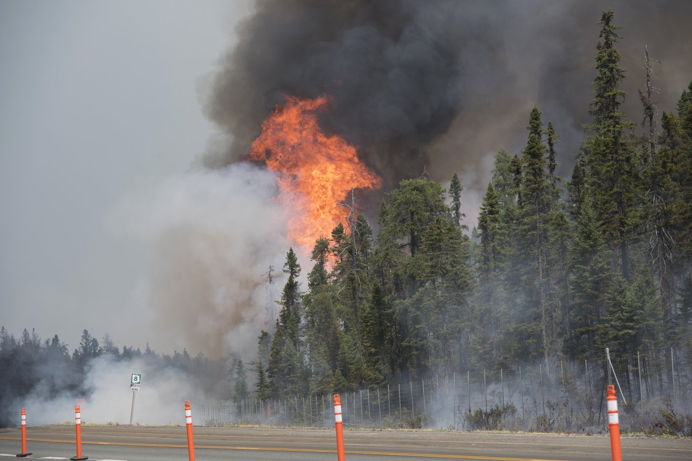 Evacuation order lifted for St. John's suburb; wildfire destroys ...