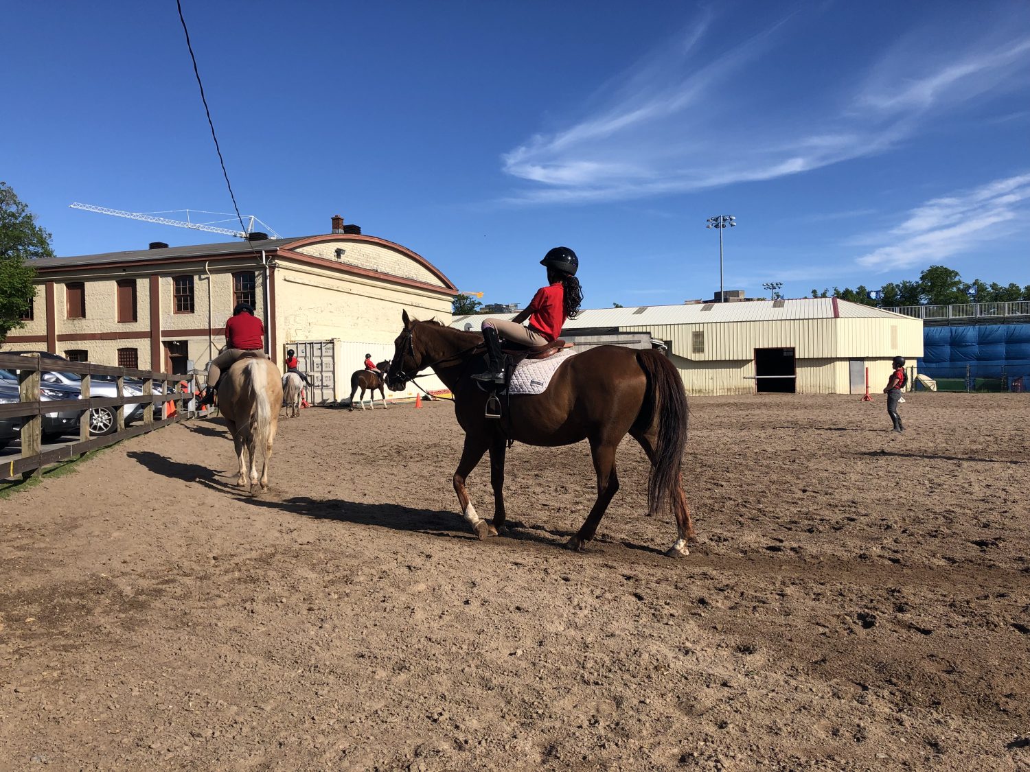 Free 'pony' rides this summer