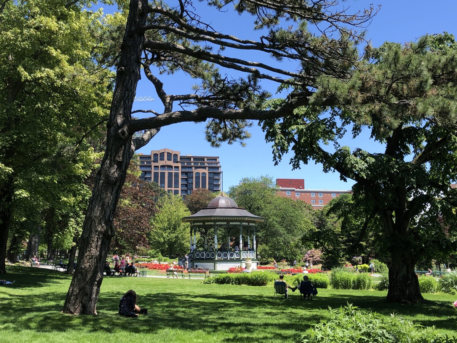 Sunny start to Spring in Halifax | CityNews Halifax