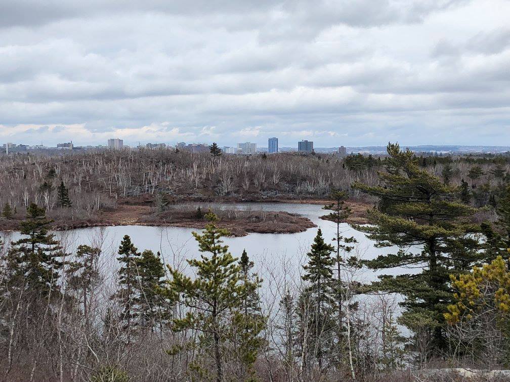 Nature Conservancy of Canada fundraising to 'Keep Halifax Wild'