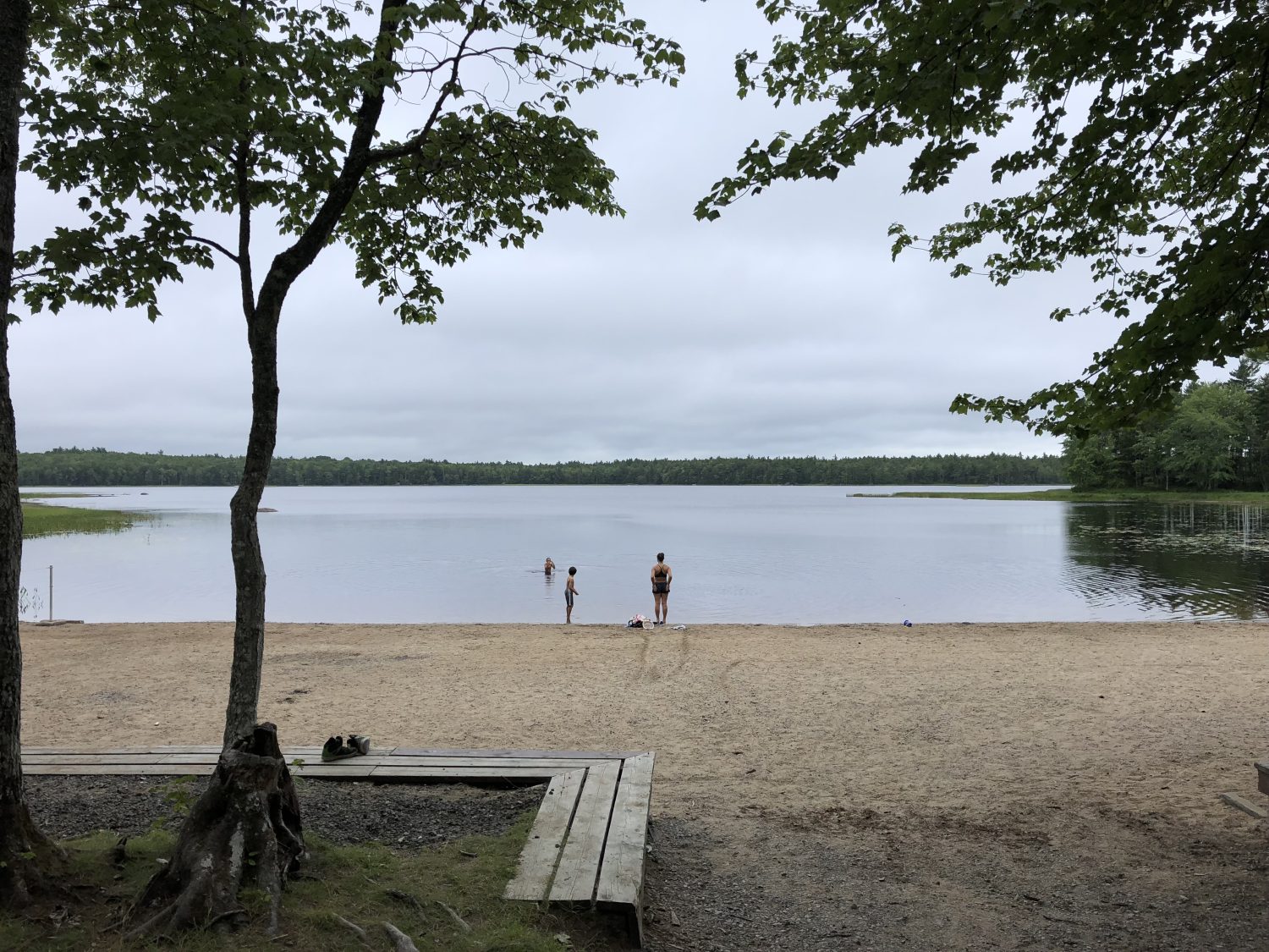 Long Pond, Springfield and Kinap beaches reopen (update) | CityNews Halifax